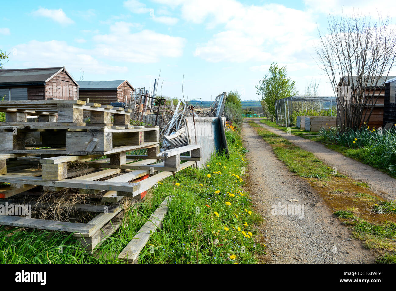Overgrown plot of land with scrap materials in foreground Stock Photo ...