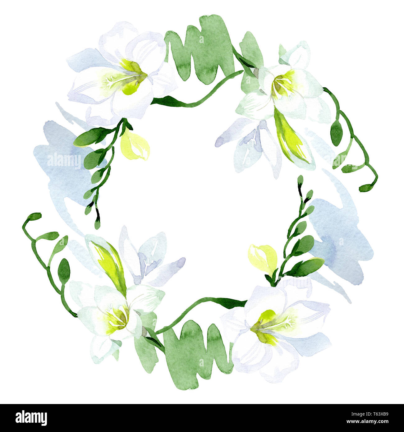 White freesia floral botanical flowers. Watercolor background ...