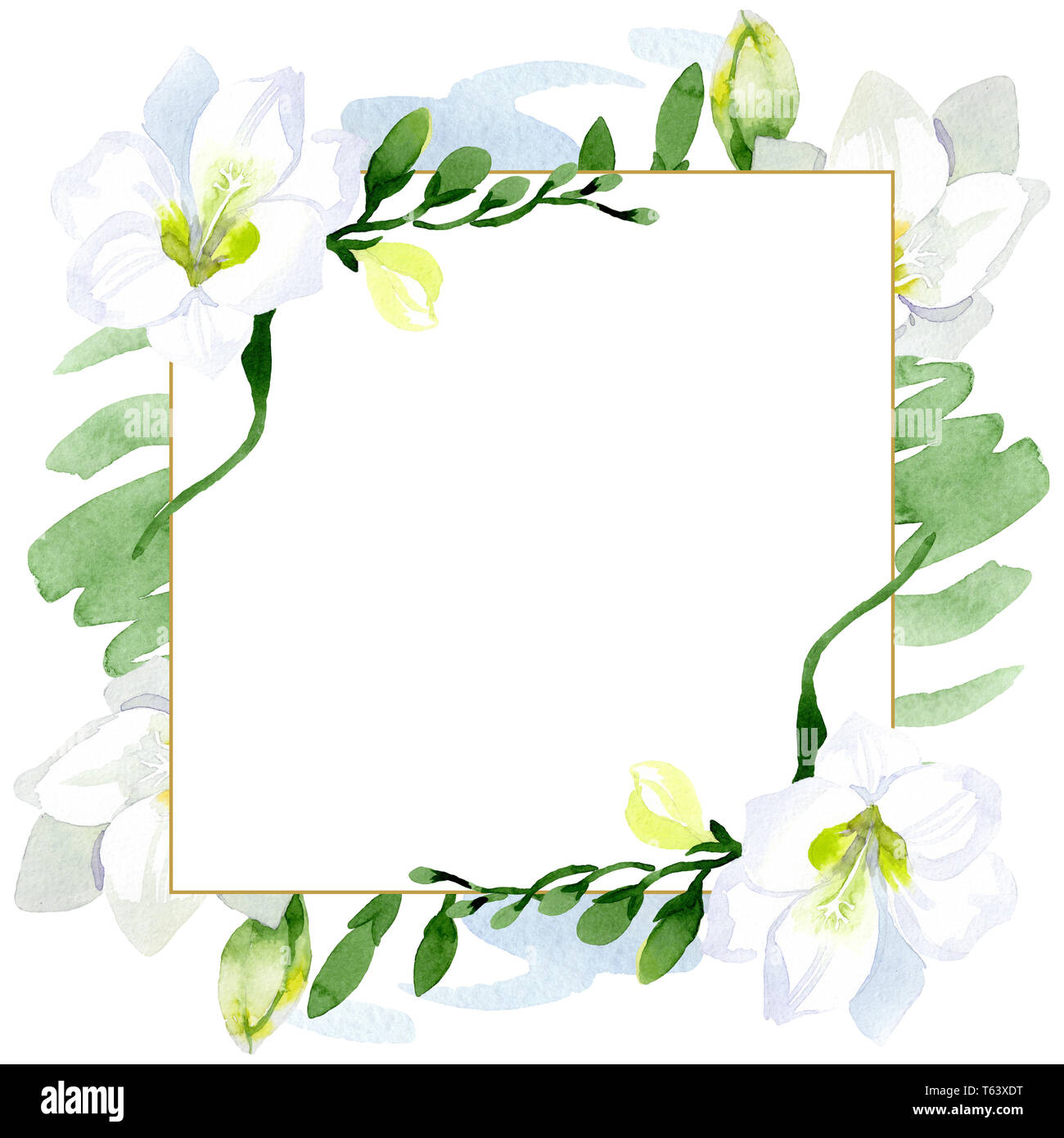 White freesia floral botanical flowers. Watercolor background ...