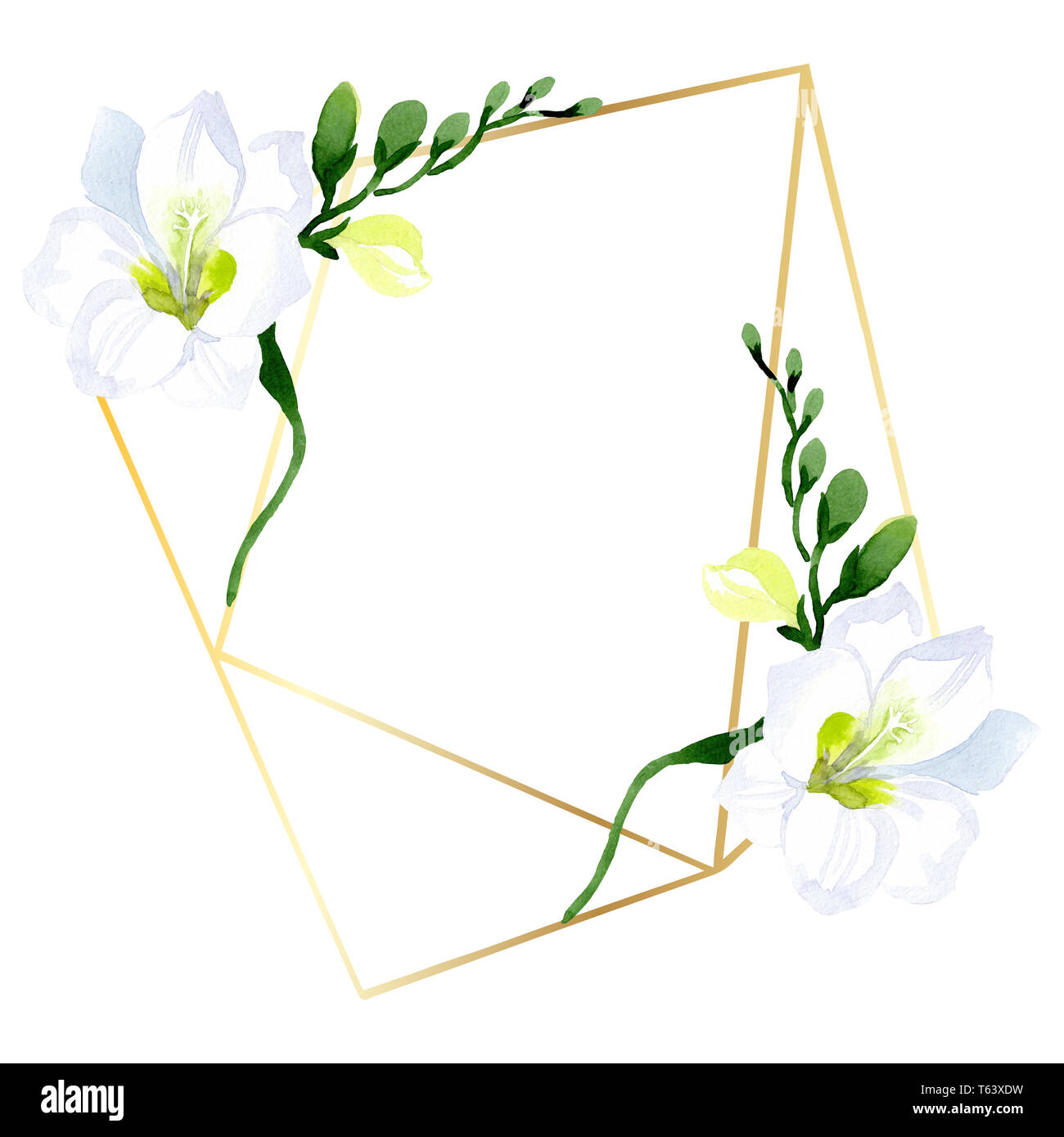 White freesia floral botanical flowers. Watercolor background ...