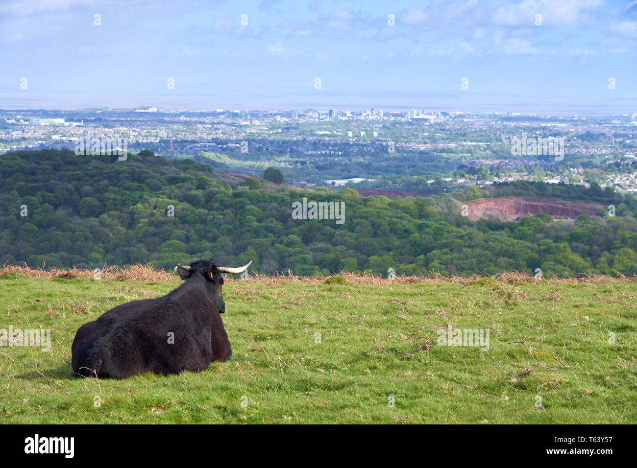 Garth cardiff hi-res stock photography and images - Alamy