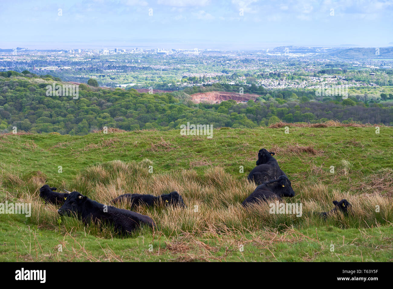 Cardiff countryside hi-res stock photography and images - Alamy