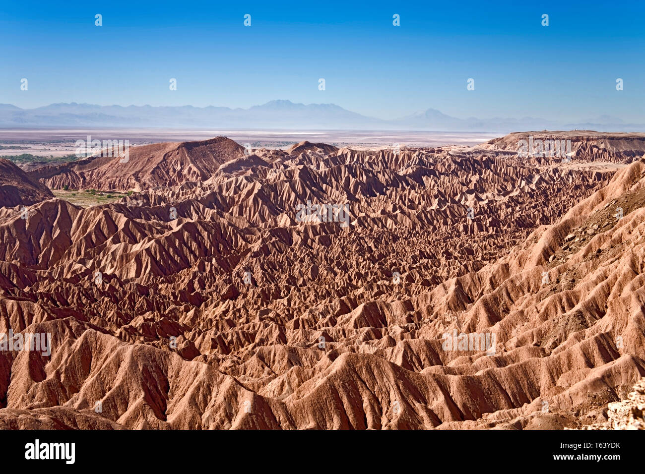 Panorama of Valle de la Muerte (Valley of the Death), Atacama desert ...
