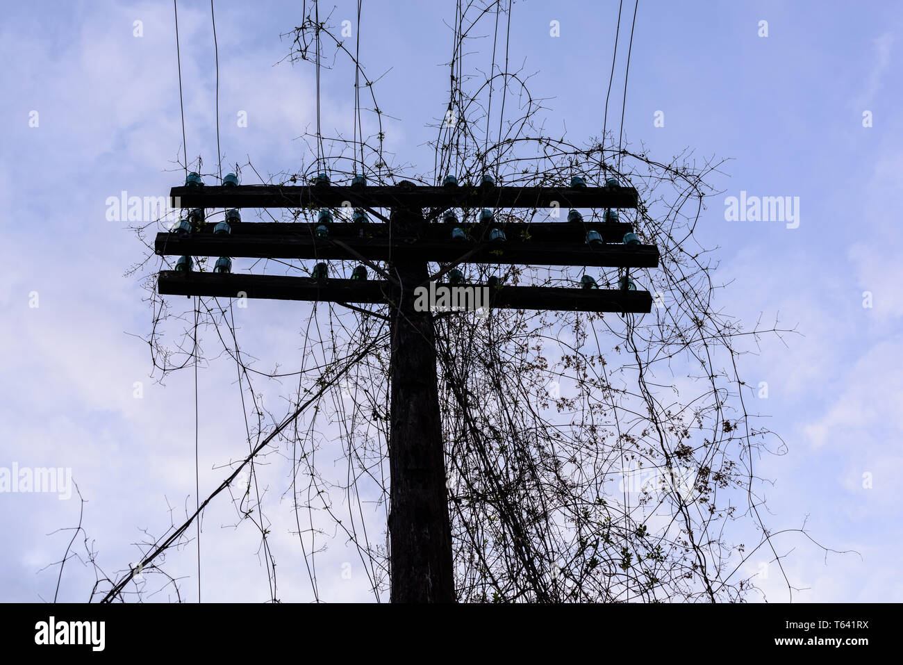 Wooden pylon hi-res stock photography and images - Alamy