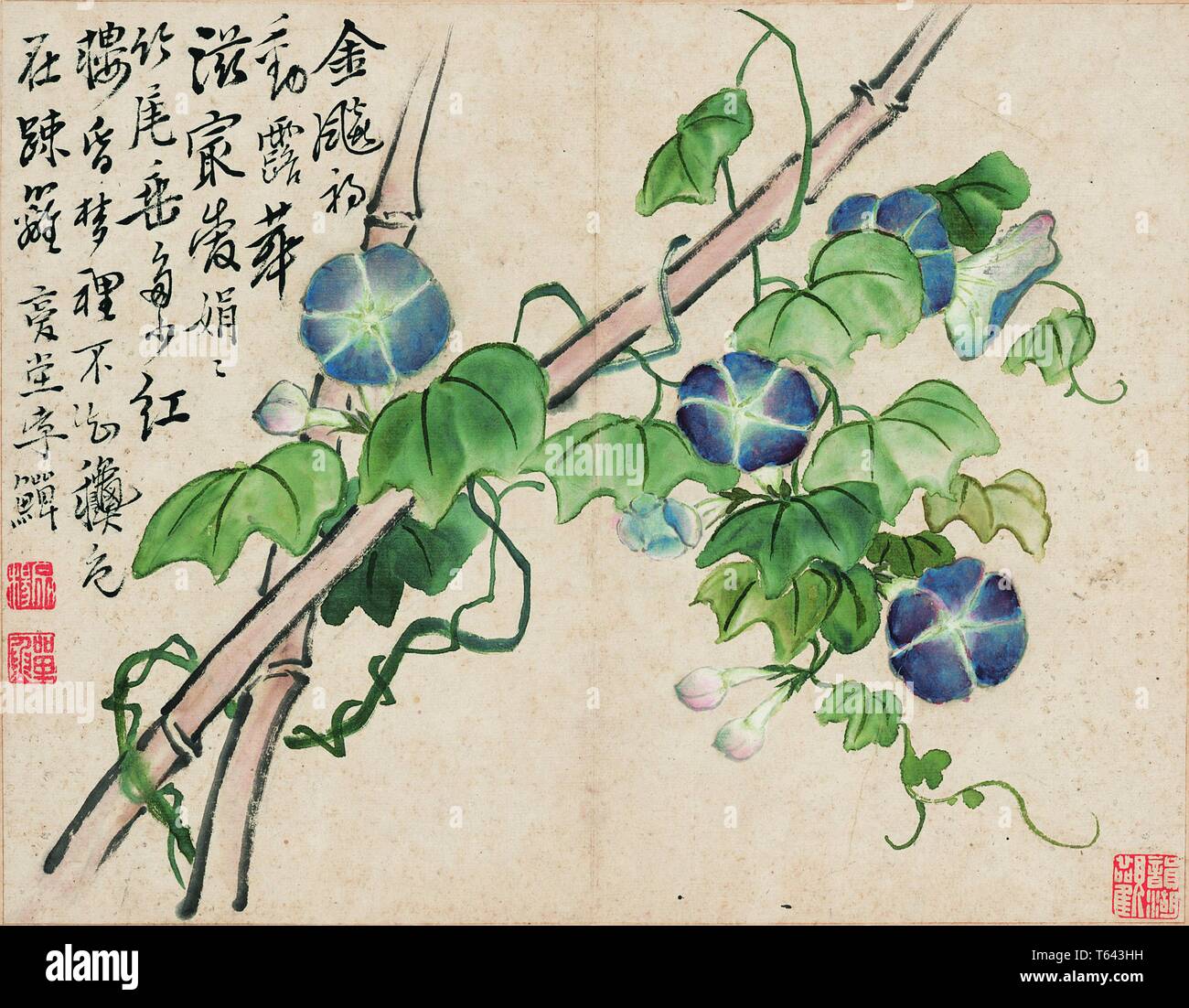 Qing Dynasty, Li Wei, Flower and Bird Book Stock Photo - Alamy