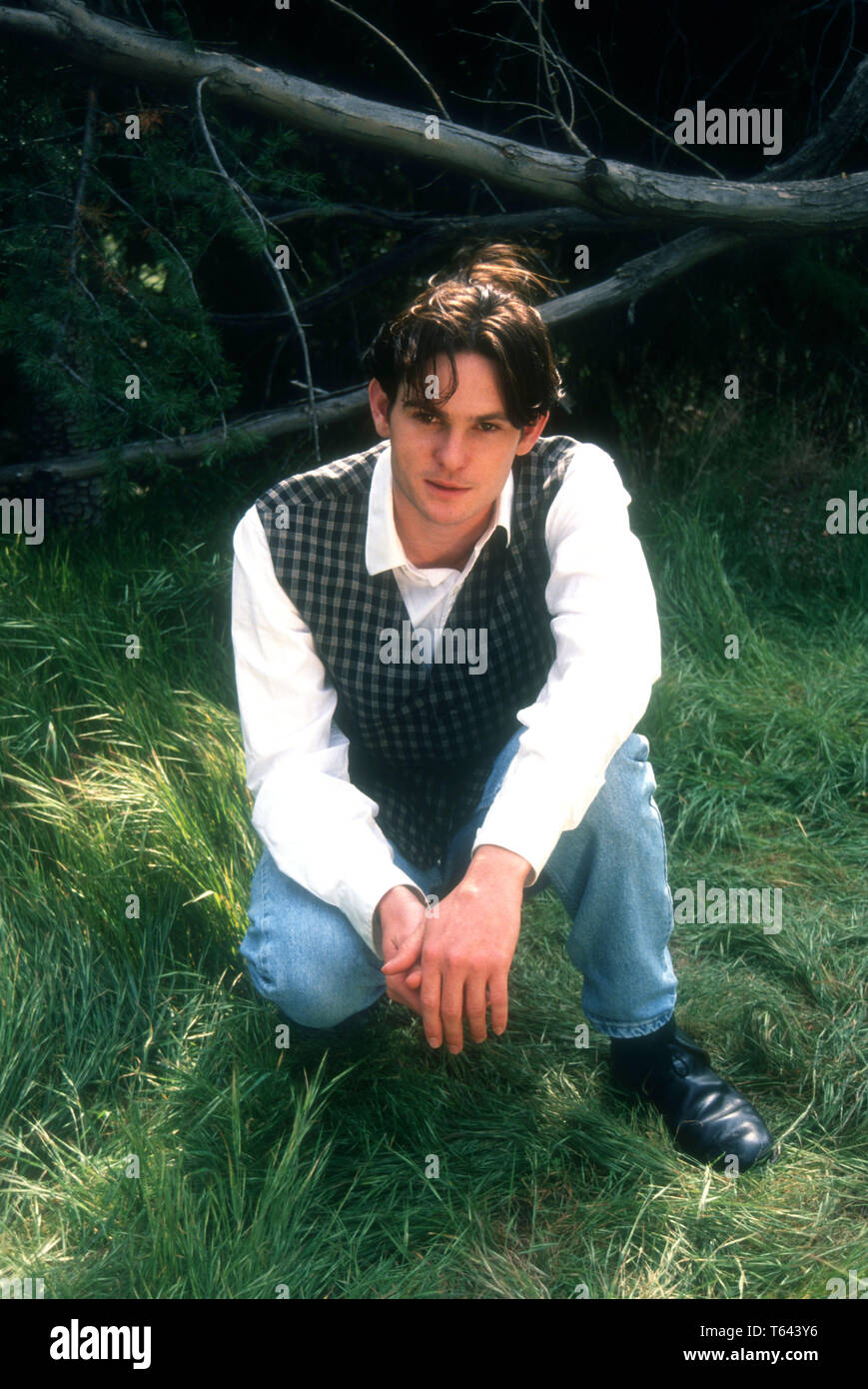 Los Angeles, California, USA 7th April 1994 (Exclusive) Actor Henry ...