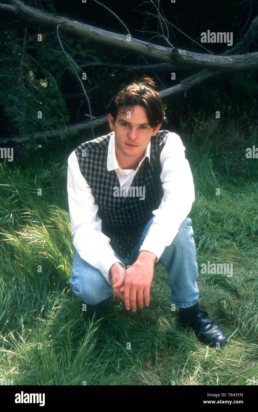 Los Angeles, California, USA 7th April 1994 (Exclusive) Actor Henry ...