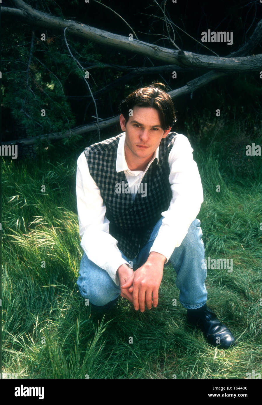 Los Angeles, California, USA 7th April 1994 (Exclusive) Actor Henry ...