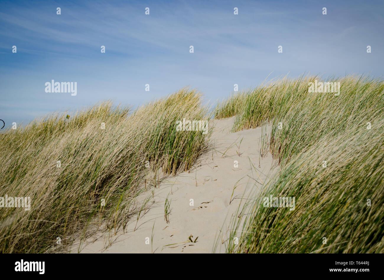 Netherlands beach hi-res stock photography and images - Alamy
