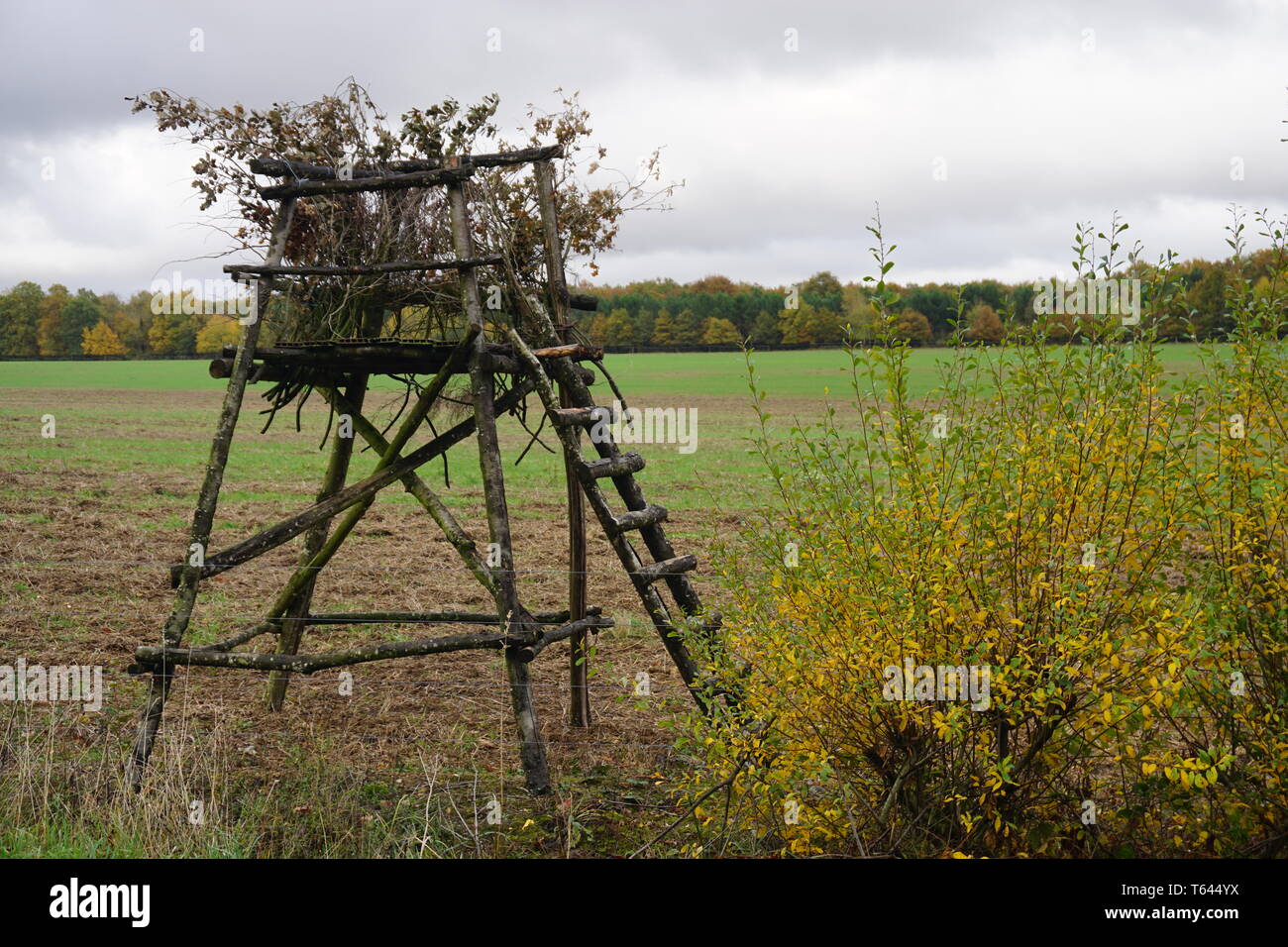Hunting hide hi-res stock photography and images - Alamy