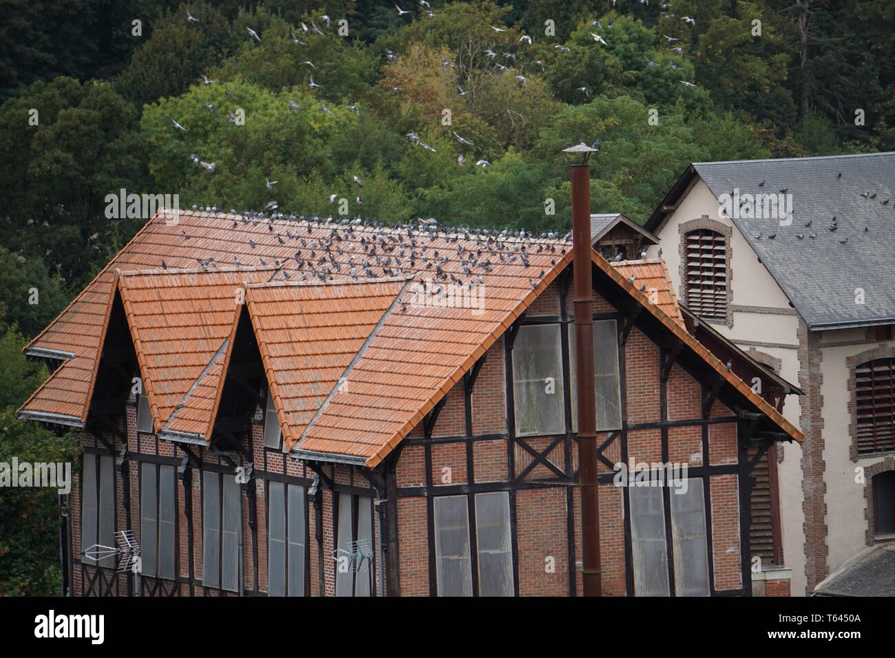 Factory in the country hi-res stock photography and images - Alamy