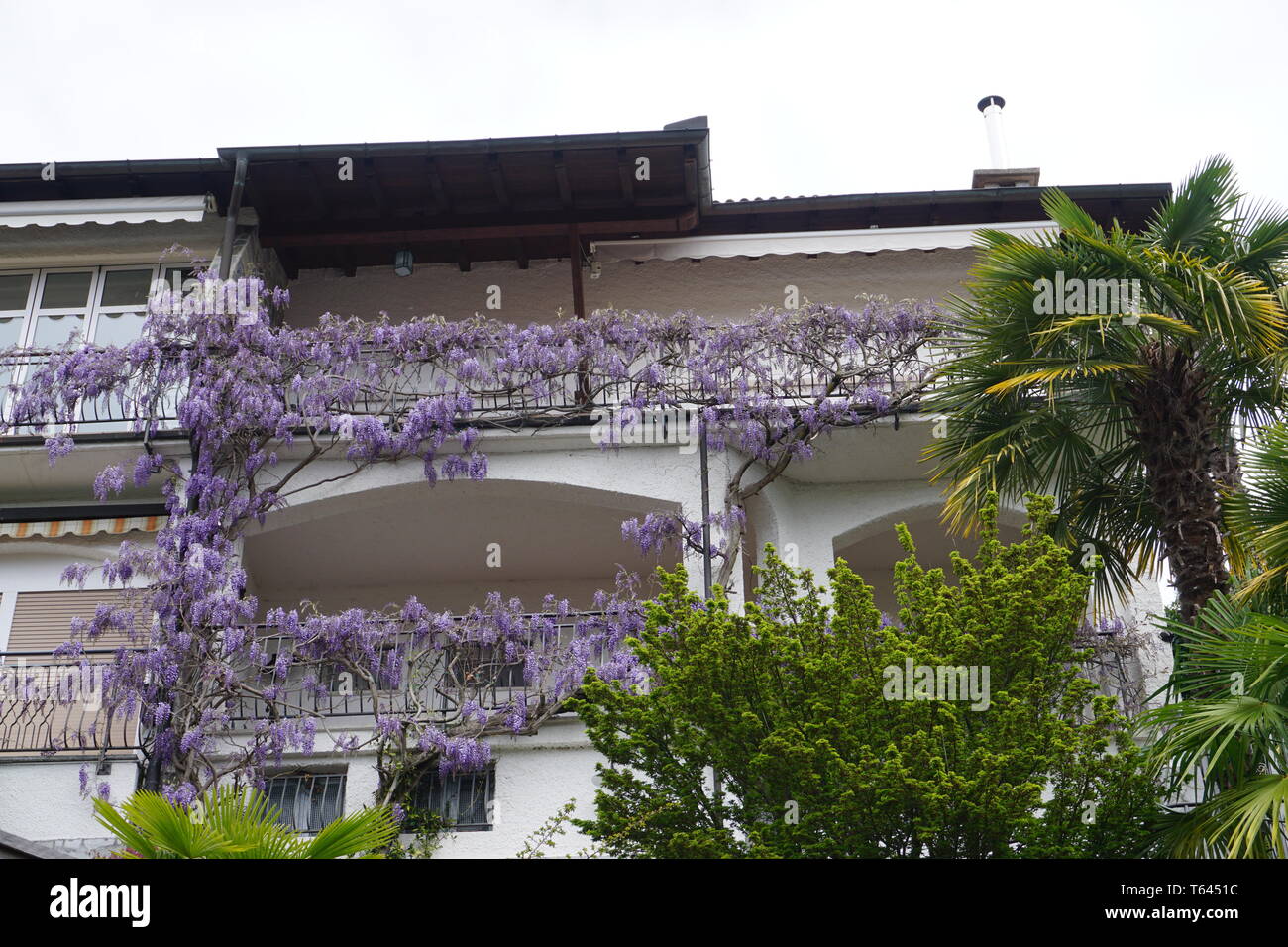 Purple balcony hi-res stock photography and images - Alamy