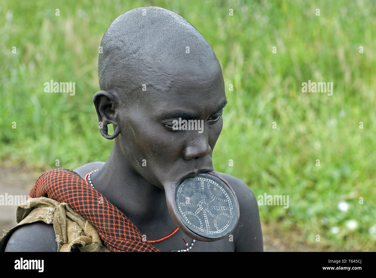 Mursi People, a Nilotic pastoralist ethnic group in Ethiopia, Africa ...
