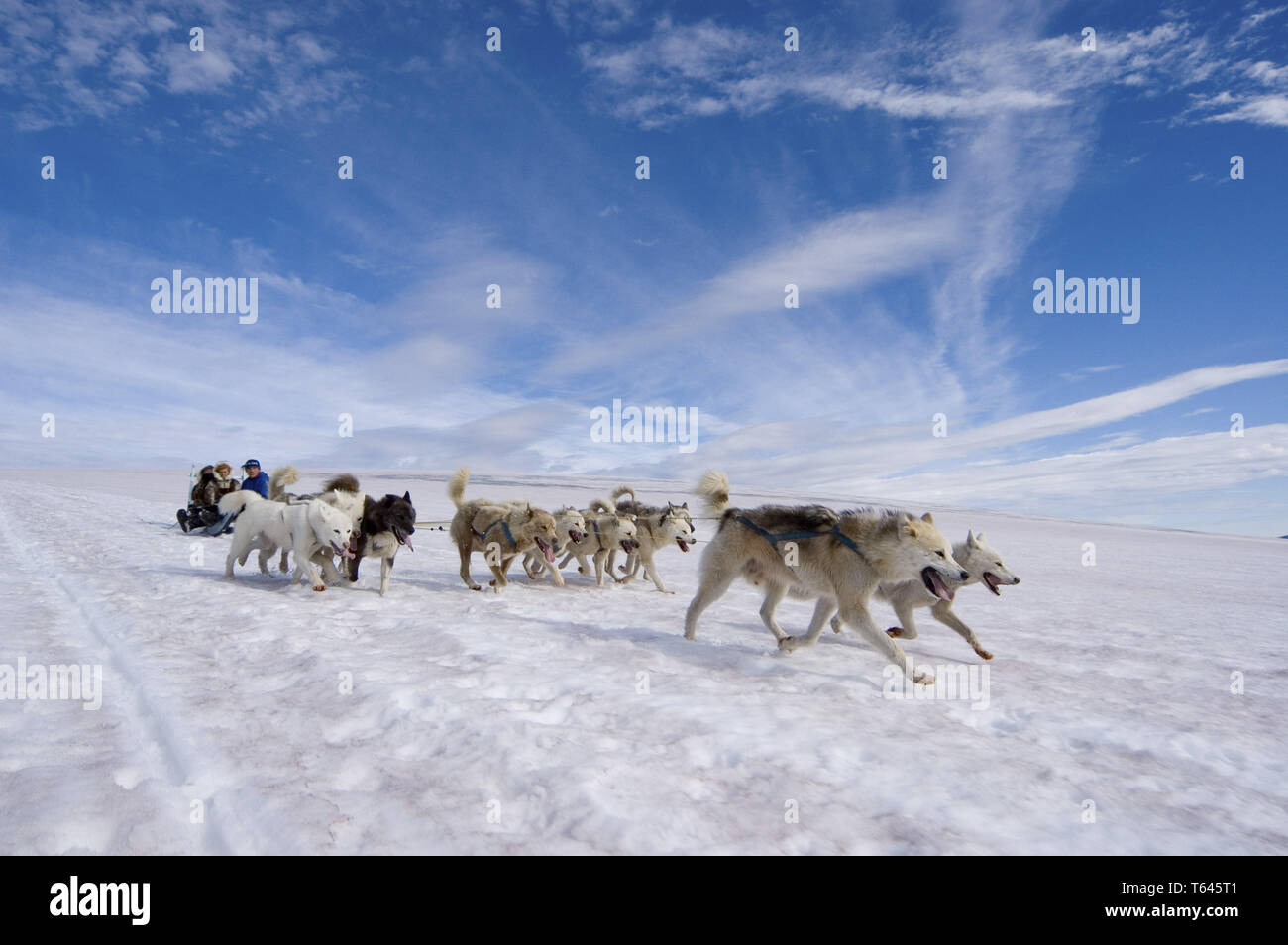 Disco island greenland hi-res stock photography and images - Alamy