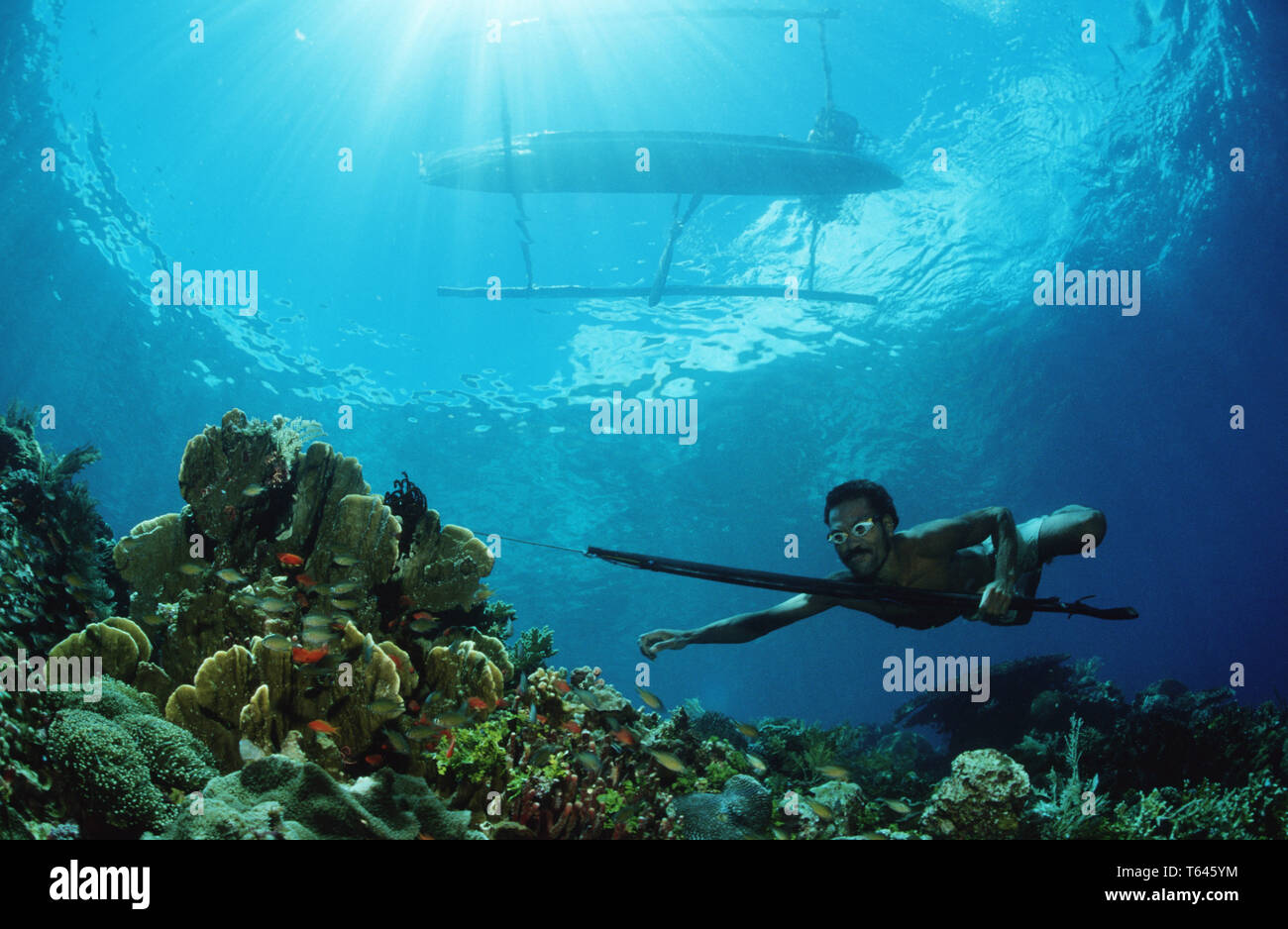 Fishing spear pictures hi-res stock photography and images - Alamy