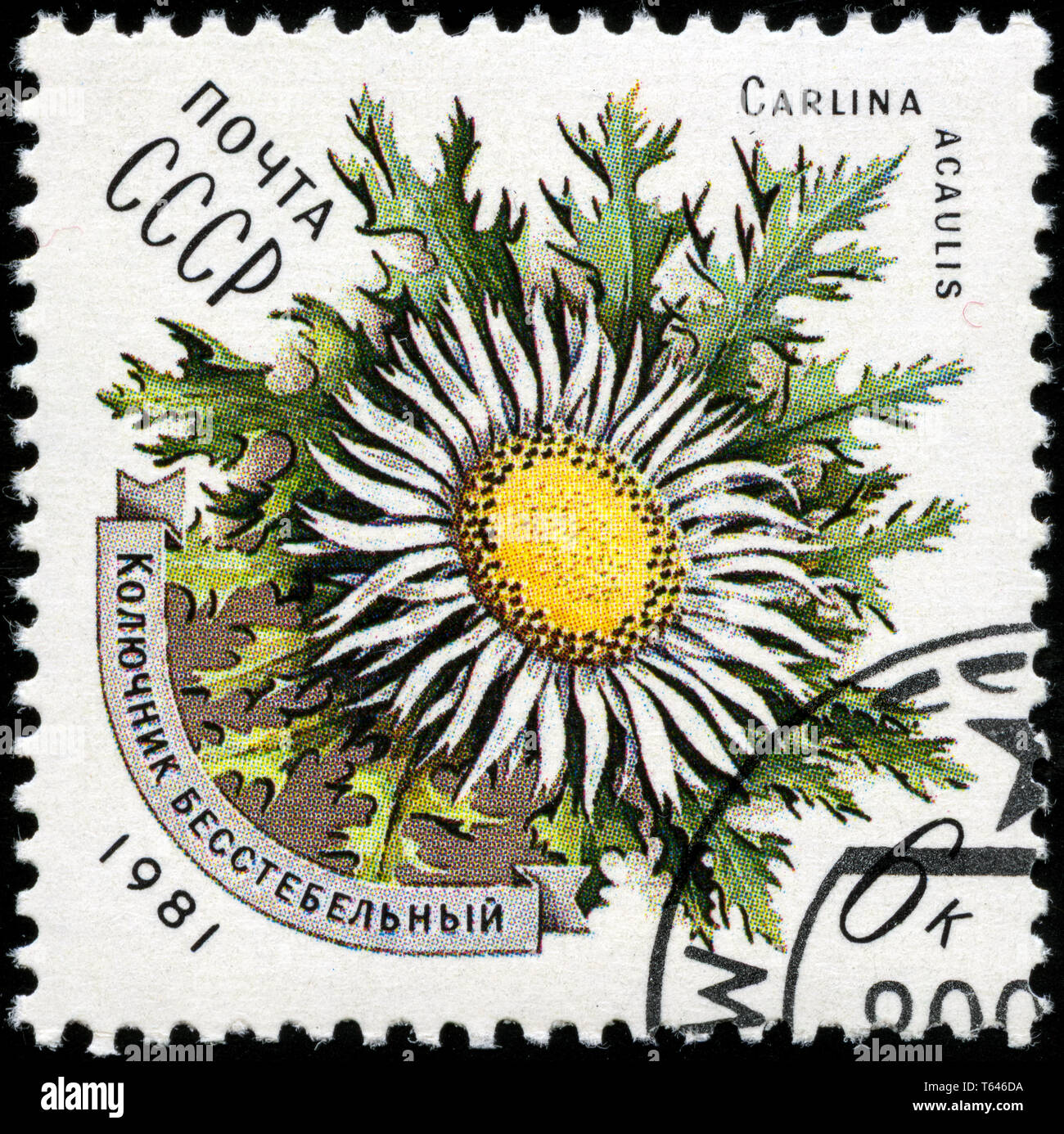 Postage stamp from the Soviet Union in the Flowers of the Carpathians ...