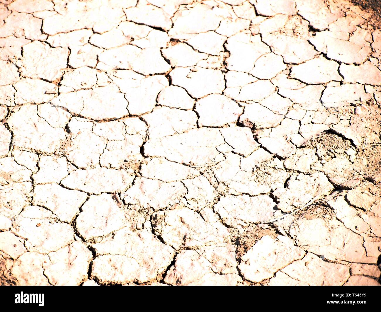 Warm the soil hi-res stock photography and images - Alamy