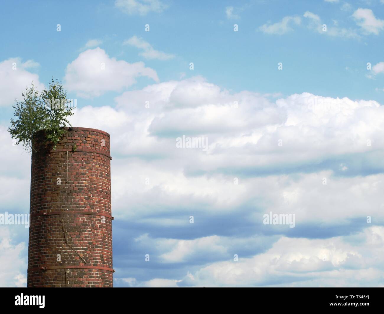 Powerful nature hi-res stock photography and images - Alamy