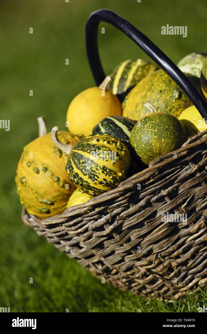 Gourd symbol hi-res stock photography and images - Alamy