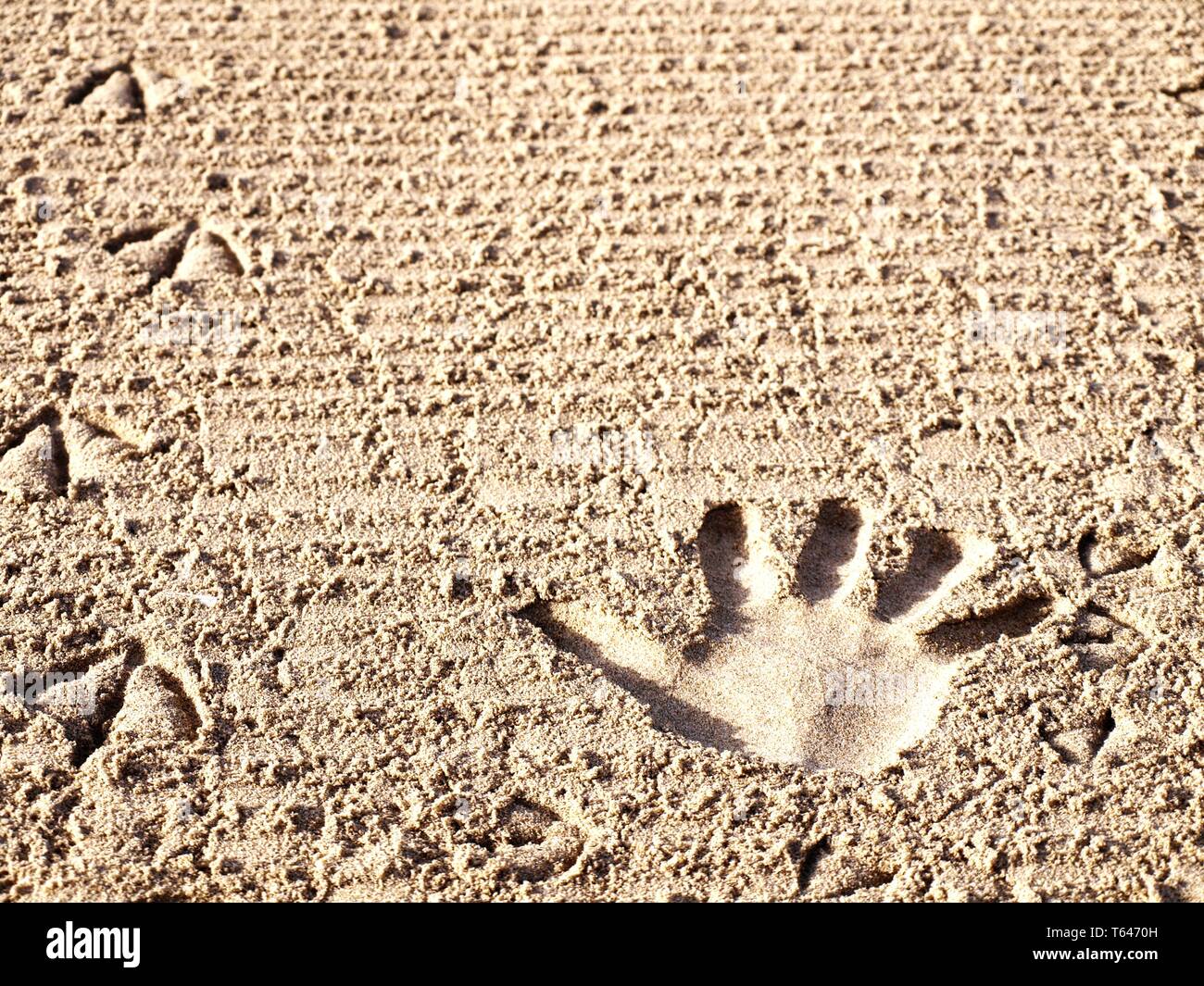 His handprint hi-res stock photography and images - Alamy