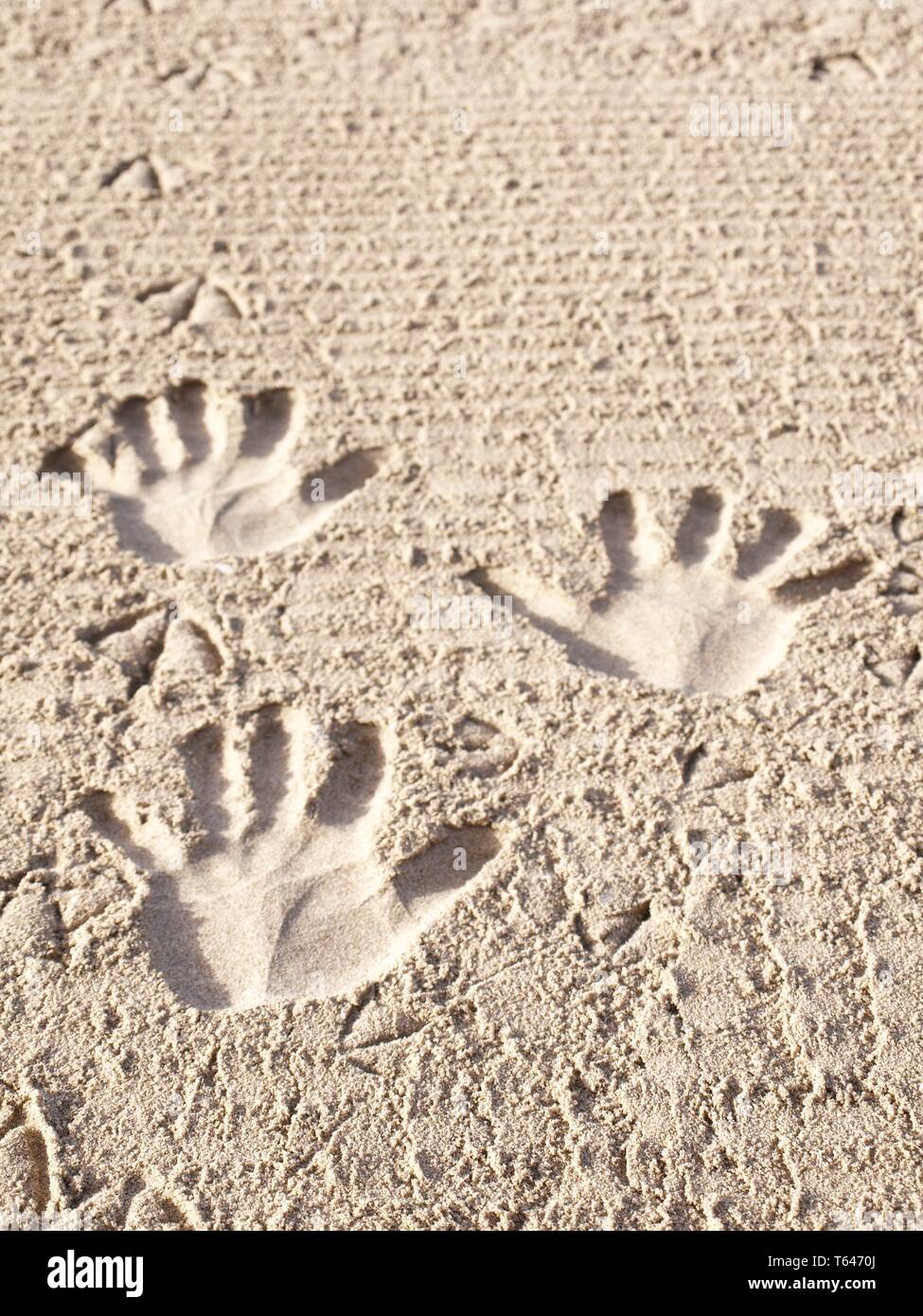 Handprints hi-res stock photography and images - Alamy