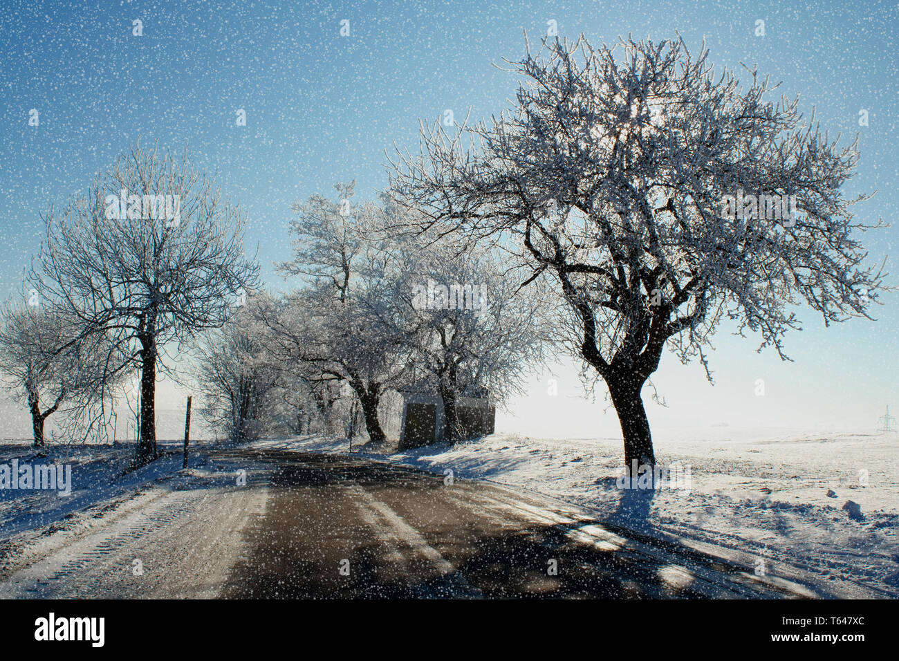 winter scene with snow Stock Photo - Alamy