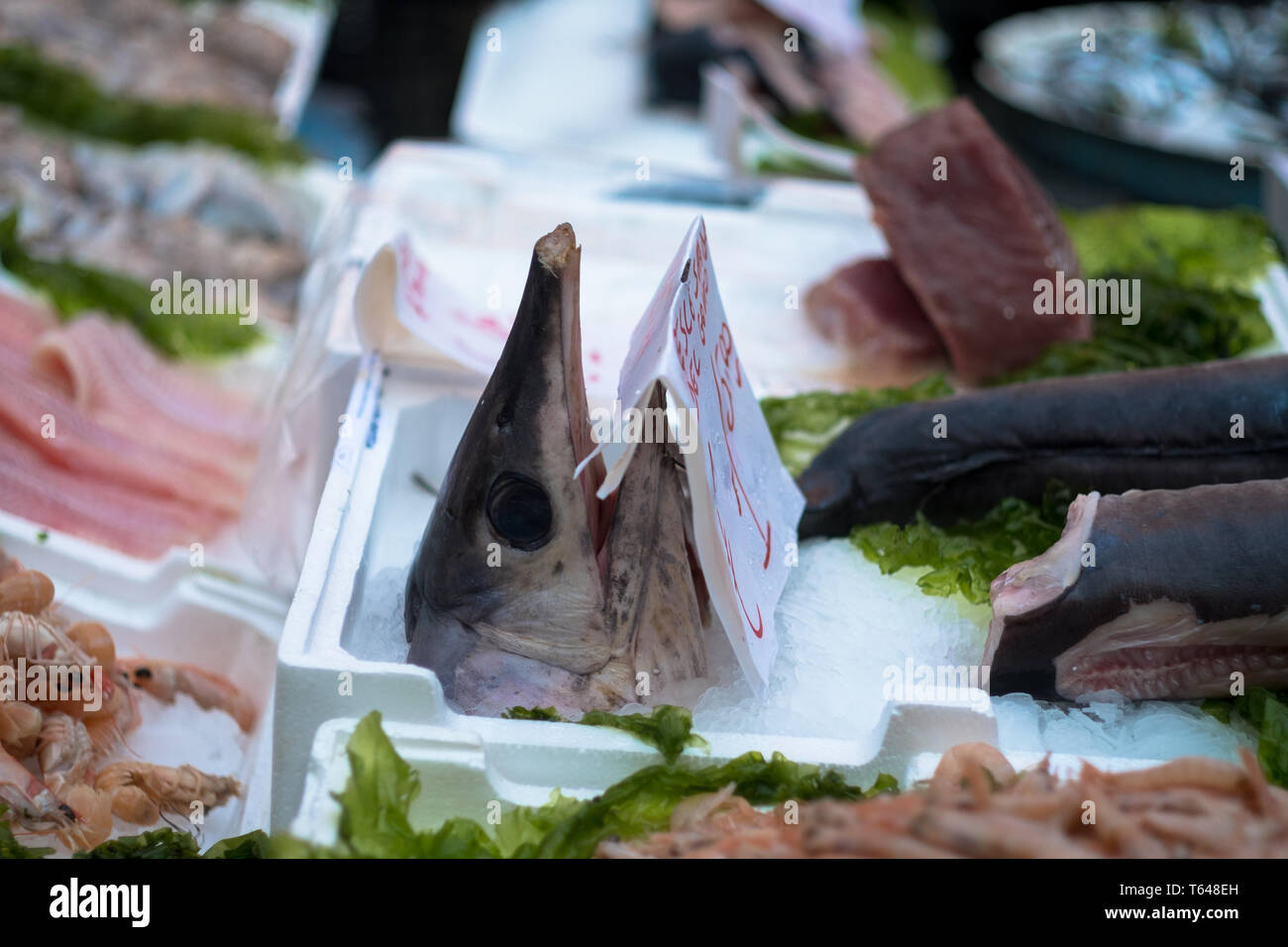 Fish exposed in open hi-res stock photography and images - Alamy
