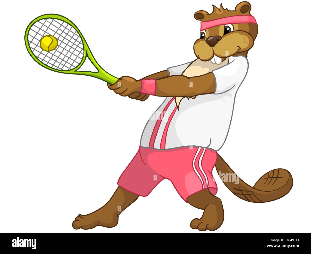 Beaver CREES. Look for Funny Beaver by Keyword CREES Stock Photo - Alamy