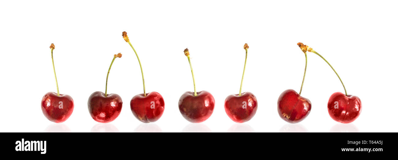 Row of real cherries isolated on white panoramic background Stock Photo ...