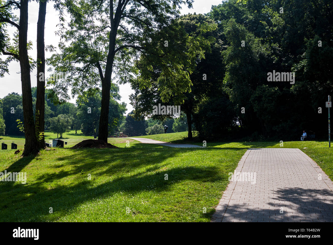 Beautiful park scene in public park with green grass field and green ...