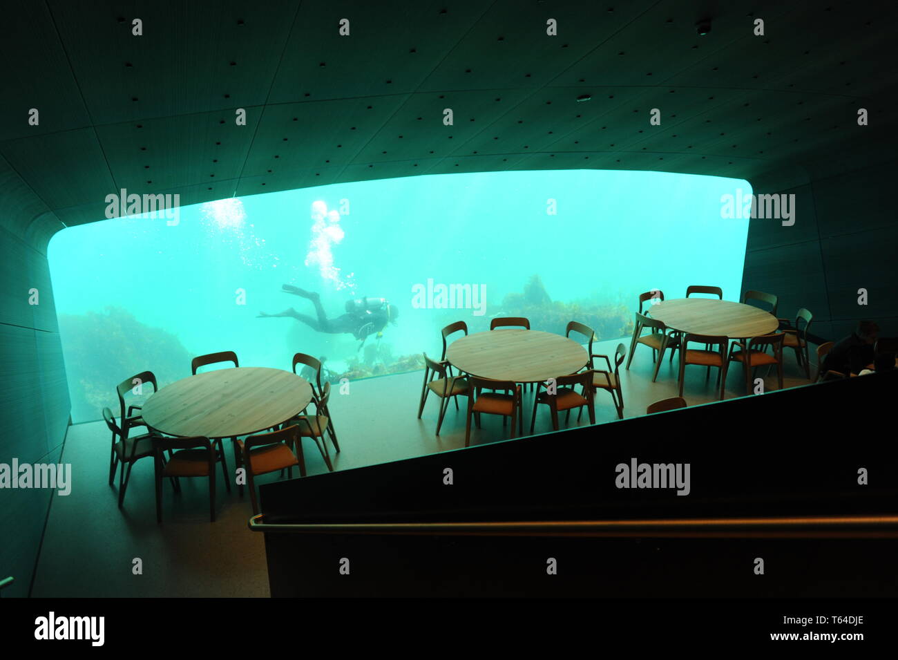 Lindesnes, Norway. 28th Mar, 2019. A diver swims past a window of the ...