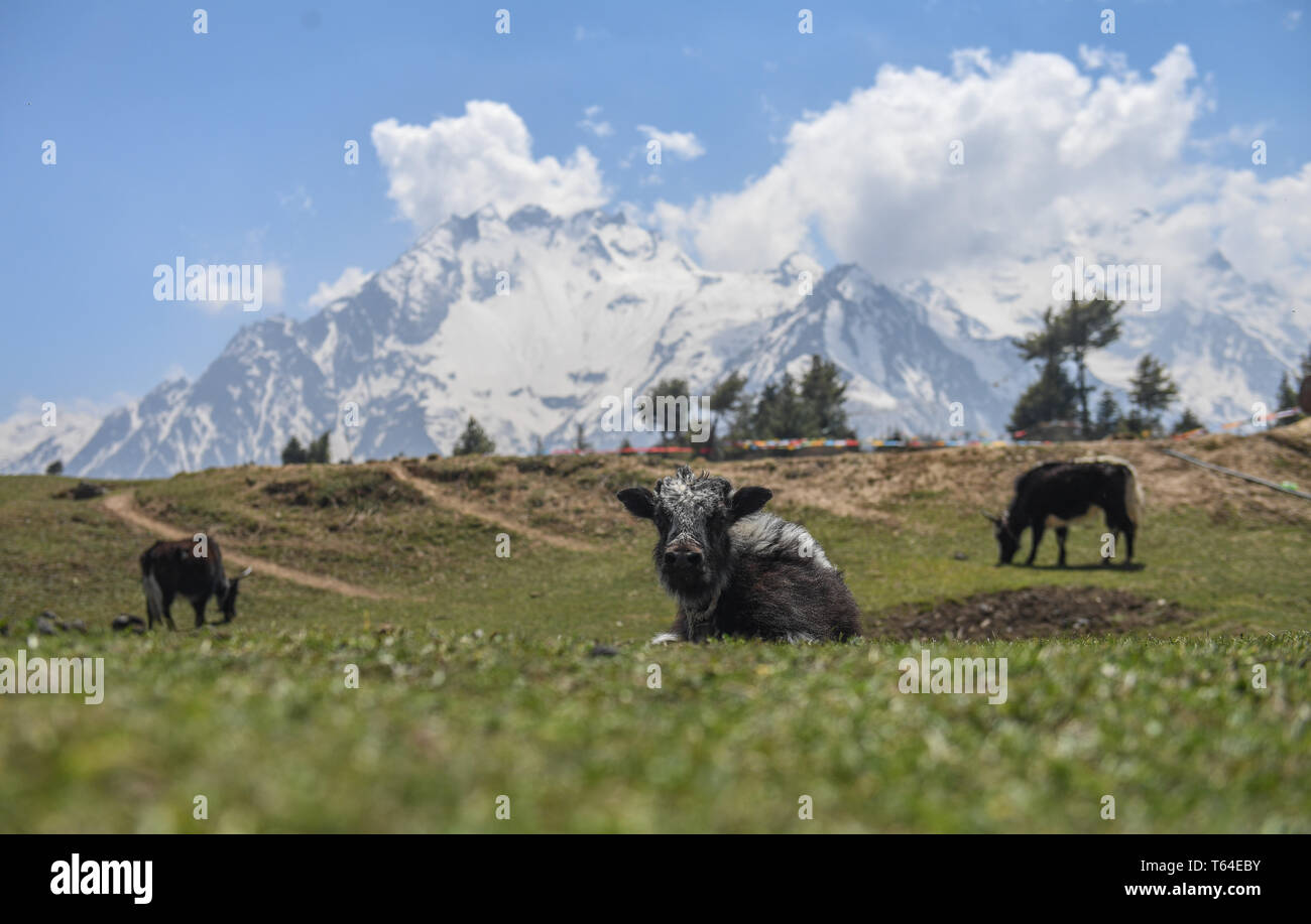 Gyirong hi-res stock photography and images - Alamy