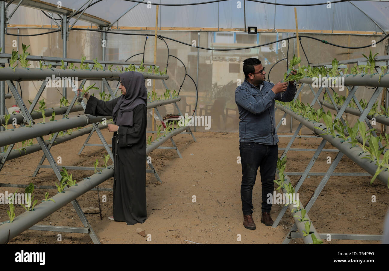 Safia abu daqqa hi-res stock photography and images - Alamy