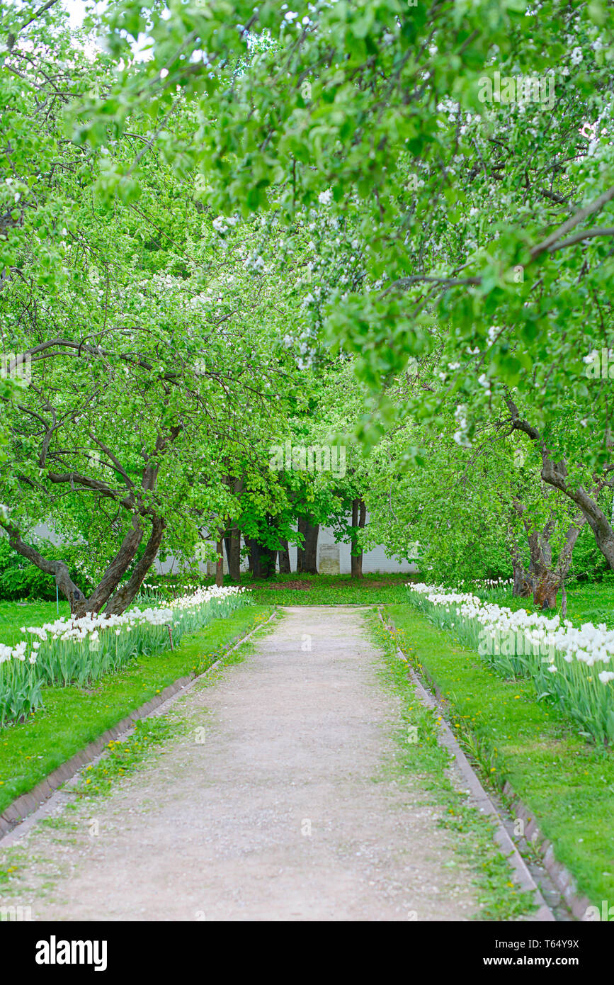 Spring path hi-res stock photography and images - Alamy
