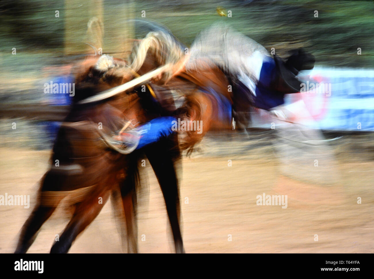Arizona cowboy rodeo hi-res stock photography and images - Alamy