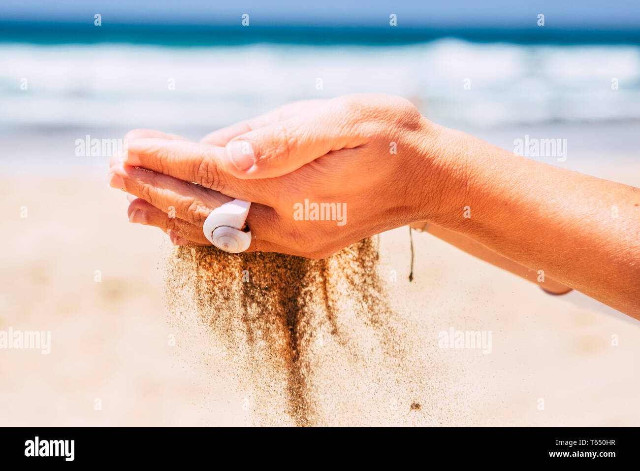 Hands holding shells beach hi-res stock photography and images - Alamy