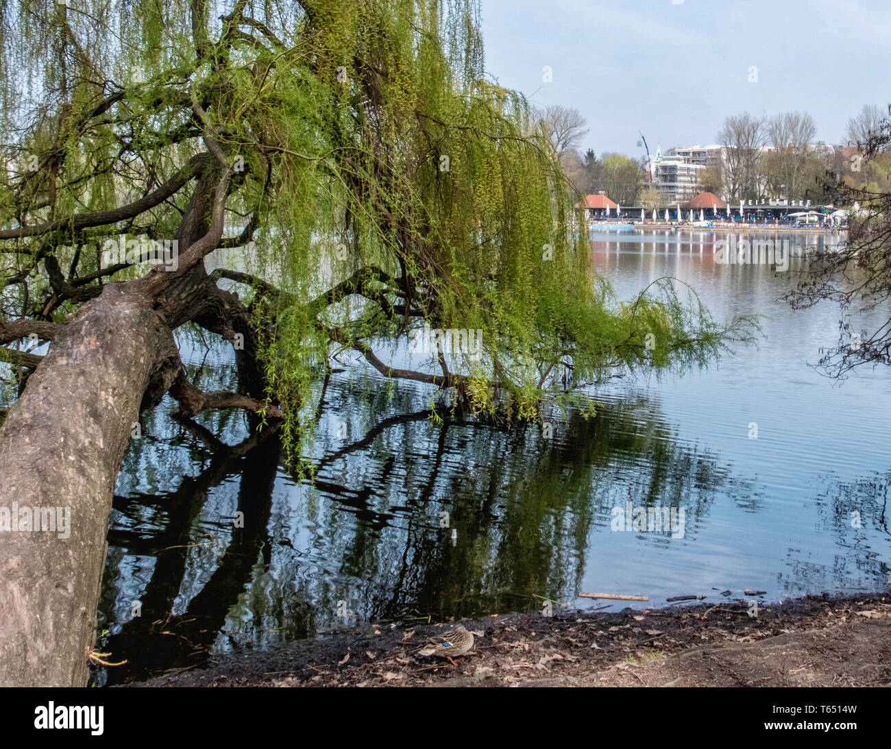 Weißensee lake berlin hi-res stock photography and images - Alamy