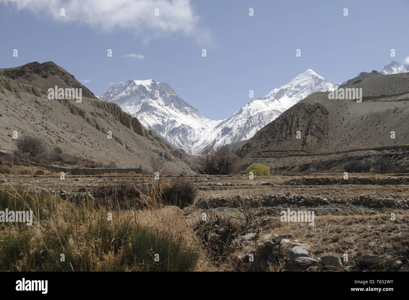 View of the Annapurna massif Stock Photo - Alamy