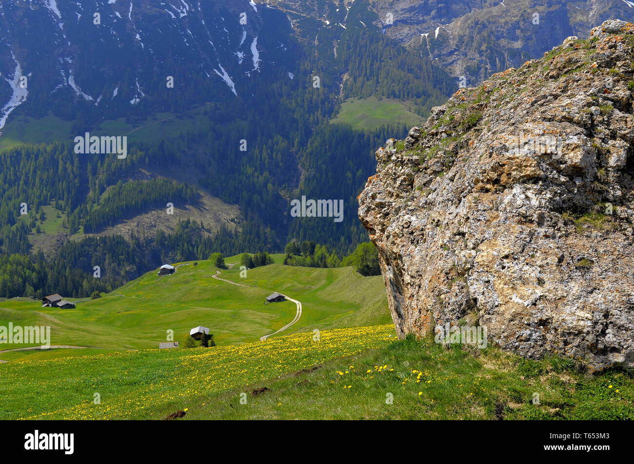 Seiser Alm, Highest high Alp of Europe, South Tirol, Dolomites, Italy ...