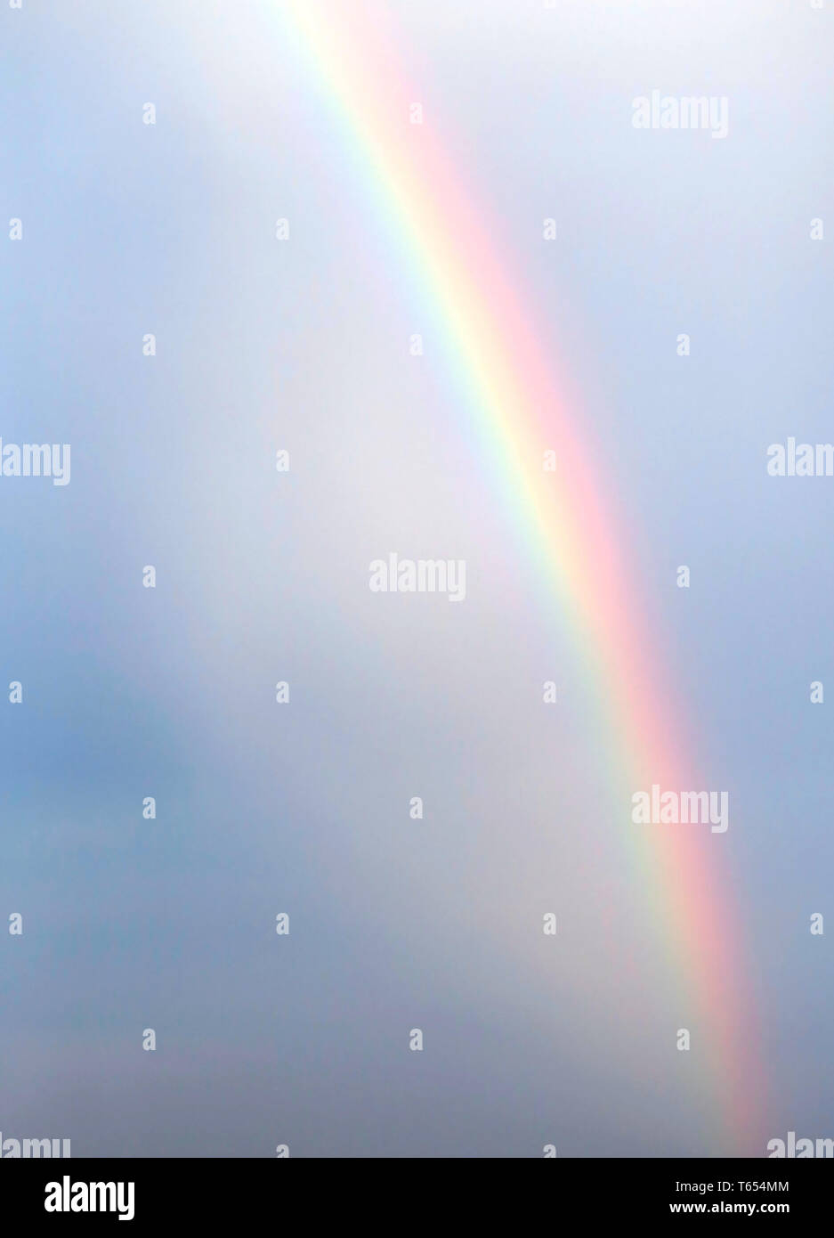 rainbow with many colors after the storm in vertical format Stock Photo ...