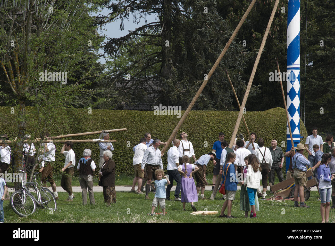 Setting up a maypole hi-res stock photography and images - Alamy