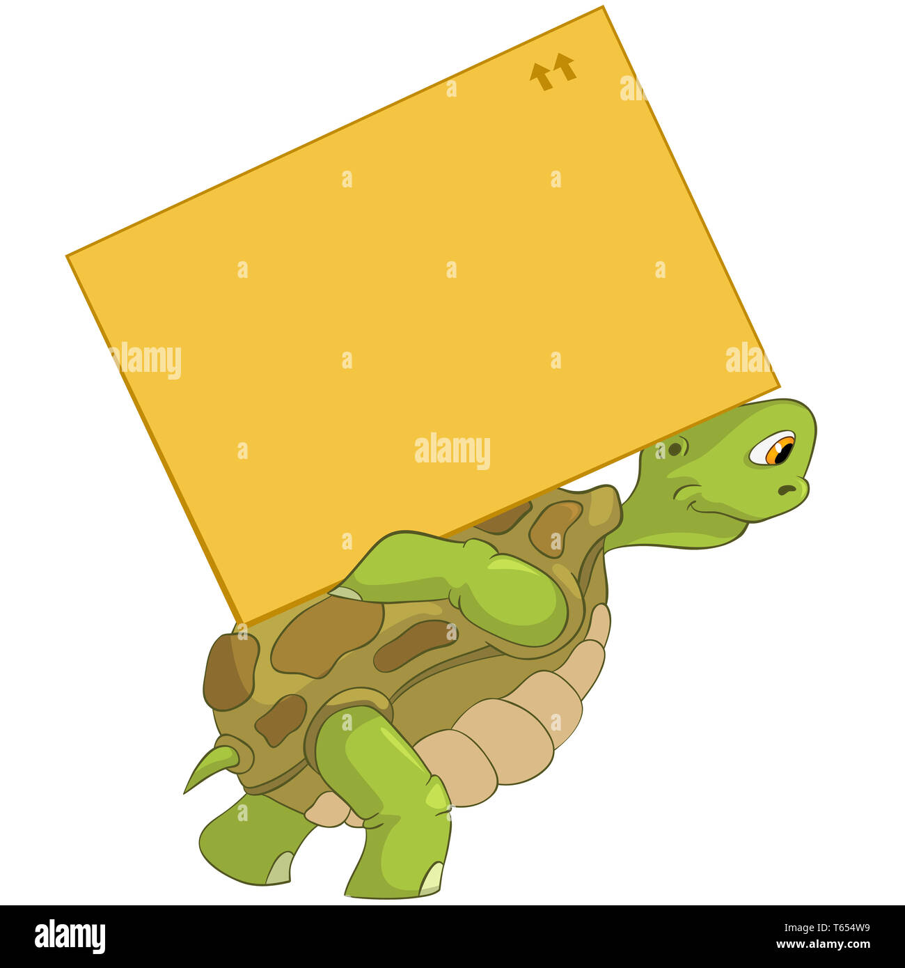 Heavy turtle hi-res stock photography and images - Alamy