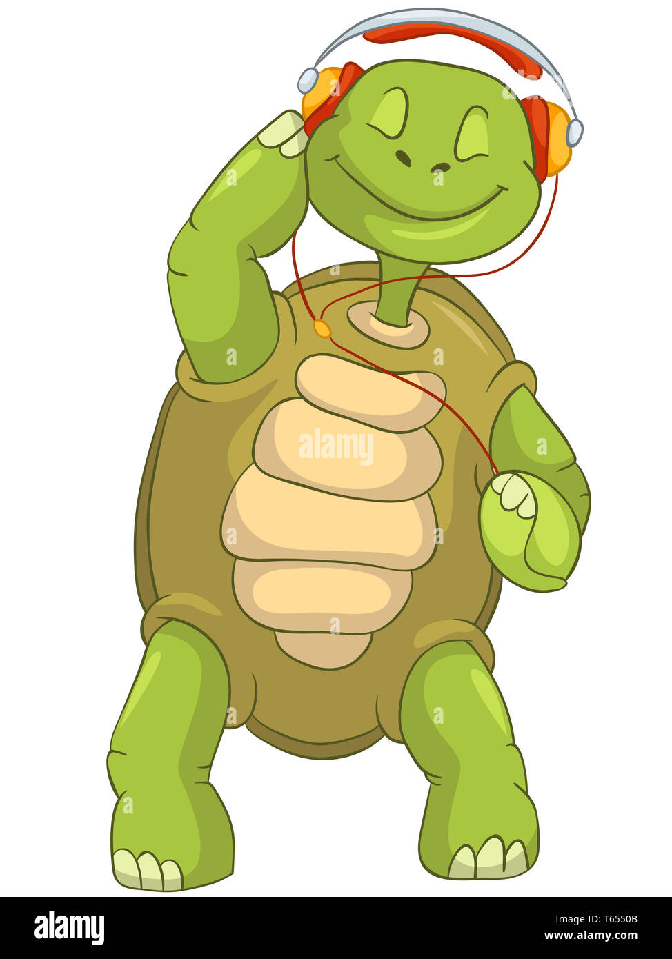 Turtles Wearing Clothes