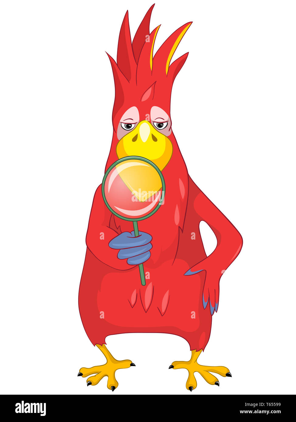 Funny Parrot. Search Stock Photo - Alamy