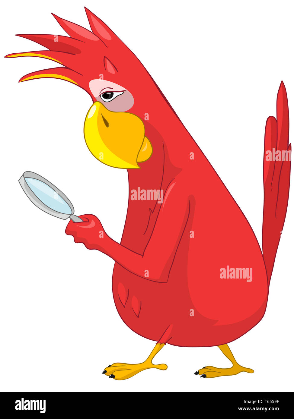 Funny Parrot. Search Stock Photo - Alamy
