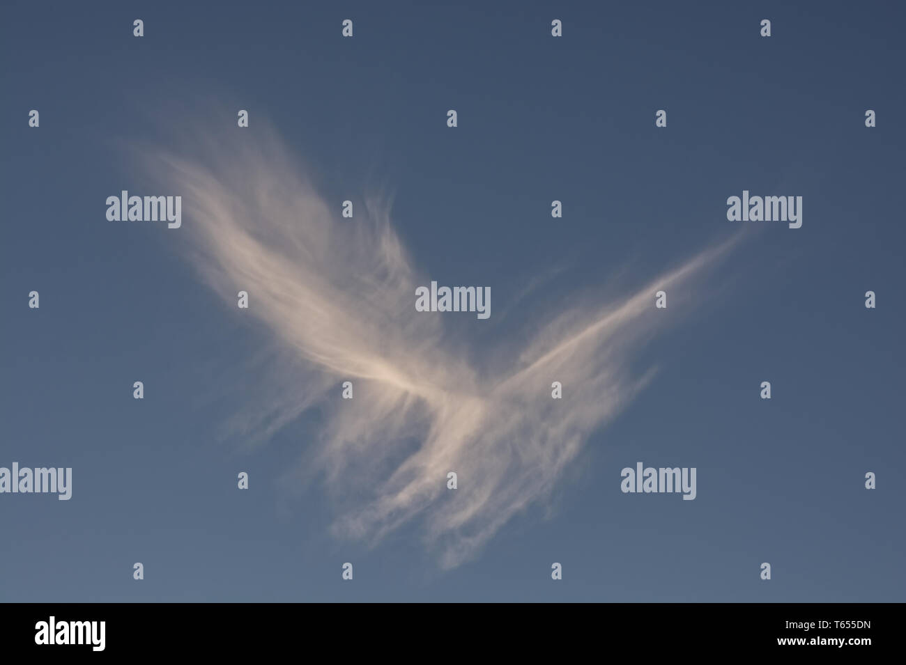Clouds with bird hi-res stock photography and images - Alamy