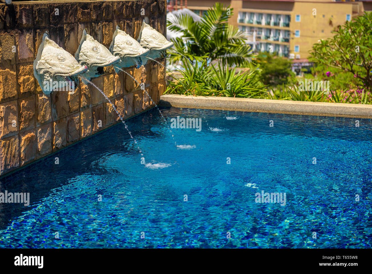 Fish head statues serving as fountains at a swimming pool in Thailand ...