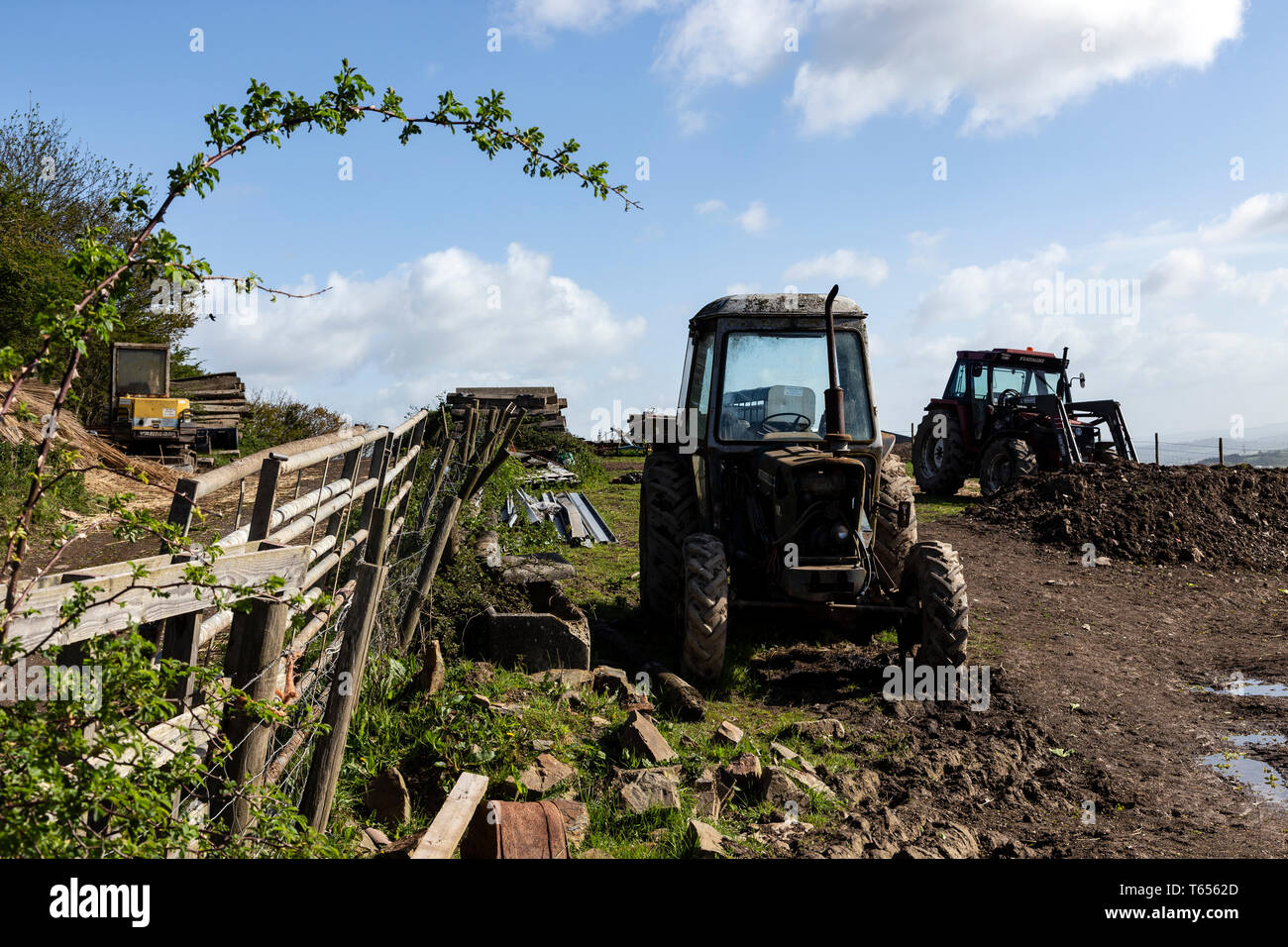Rural Scene, Devon, Sheep, England, UK, English Culture, Landscape ...