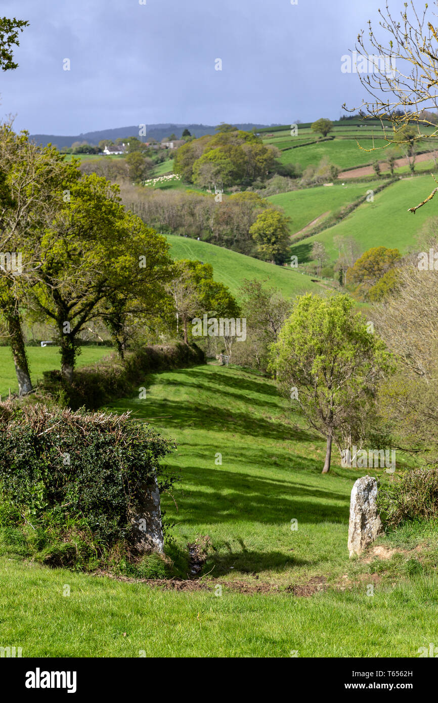 Devon hedgebank hi-res stock photography and images - Alamy