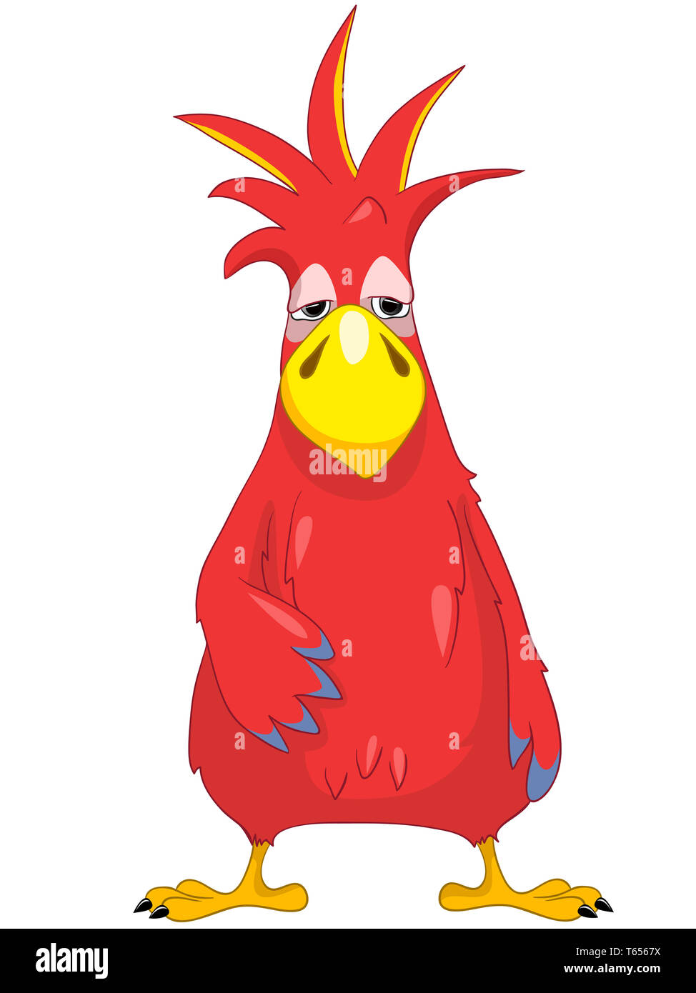 Funny Parrot. Sad Stock Photo - Alamy